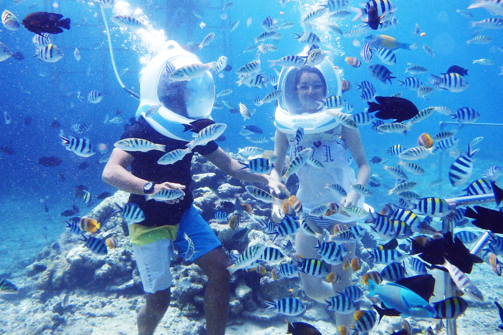 Bali Sea Walker – Bali Bliss Tours