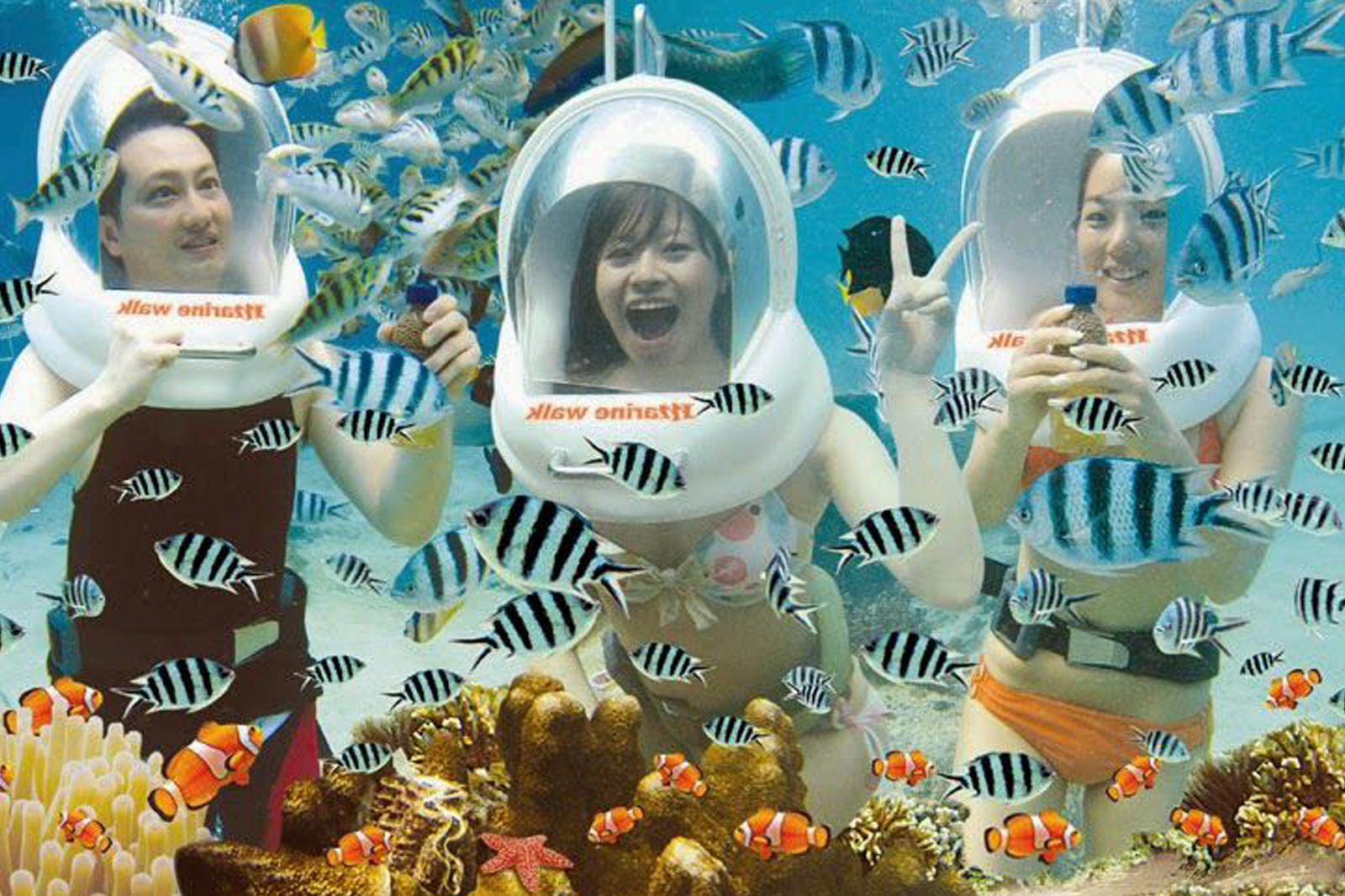 Bali Sea Walker – Bali Bliss Tours
