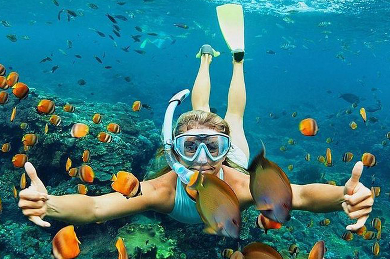 Snorkeling At Tanjung Benoa – Bali Bliss Tours