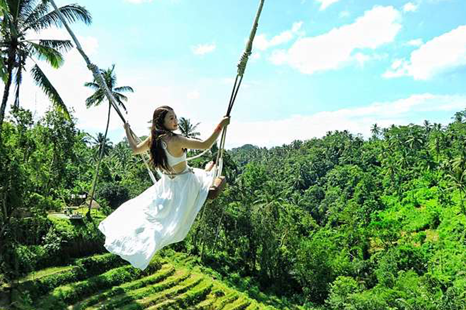 Aloha Swing – Bali Bliss Tours