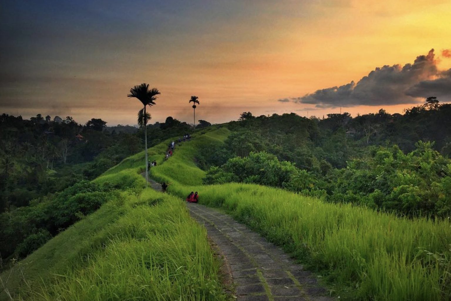 Ubud Ridge Walk – Bali Bliss Tours