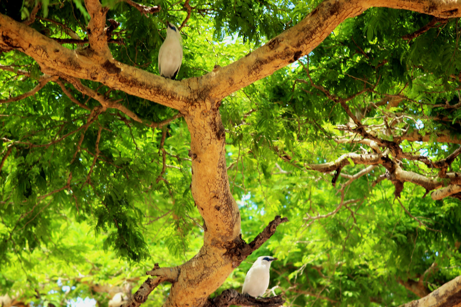 West Bali National Park – Bali Bliss Tours
